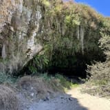 Old Cove Landing Trail, California - 4,172 Reviews, Map | AllTrails