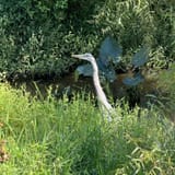 Neabsco Creek Boardwalk, Virginia - 969 Reviews, Map | AllTrails