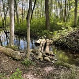 Ryan Park Loop, Rhode Island - 422 Reviews, Map | AllTrails