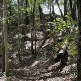 Ryan Park Loop, Rhode Island - 422 Reviews, Map | AllTrails