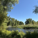 Neversink Trail, Colorado - 234 Reviews, Map | AllTrails