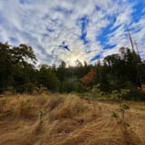 Trappist Abbey Guadalupe Loop, Oregon - 1,462 Reviews, Map | AllTrails