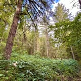 Trappist Abbey Guadalupe Loop, Oregon - 1,462 Reviews, Map | AllTrails