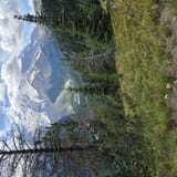 Silver Forest Trail, Washington - 565 Reviews, Map | AllTrails