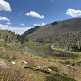 Cub Lake Loop, Colorado - 2,306 Reviews, Map | AllTrails