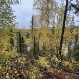 Talkeetna Lake Trail, Alaska - 791 Reviews, Map | AllTrails