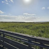Long Beach Boardwalk and Discovery Trail Loop, Washington - 117 Reviews ...