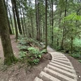 Capilano Canyon and Upper Capilano Pacific Trail Loop, British Columbia ...