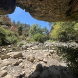 Natural Bridge Trail, California - 1,401 Reviews, Map | AllTrails