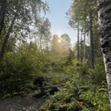 Devil's Kettle, Minnesota - 1,548 Reviews, Map | AllTrails