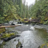 Staircase Rapids Loop, Washington - 3,077 Reviews, Map | AllTrails