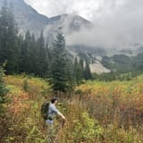 Easy Pass Trail, Washington - 514 Reviews, Map | AllTrails
