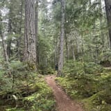 Easy Pass Trail, Washington - 514 Reviews, Map | AllTrails