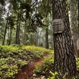 Johnson Ridge Trail, Washington - 287 Reviews, Map | AllTrails