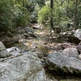 Riprap Trail , Virginia - 1,780 Reviews, Map | AllTrails