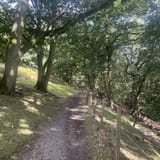 Long Mynd Circular, Shropshire, England - 1,251 Reviews, Map | AllTrails