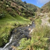 Long Mynd Circular, Shropshire, England - 1,251 Reviews, Map | AllTrails