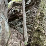 Natural Bridge and Laurel Ridge Trail Loop, Kentucky - 2,208 Reviews ...