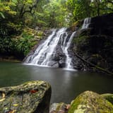 Coomera Circuit Walk, Queensland, Australia - 1,395 Reviews, Map ...