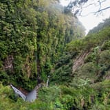 Coomera Circuit Walk, Queensland, Australia - 1,395 Reviews, Map ...