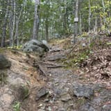 Mount Battie Trail, Maine - 1,195 Reviews, Map | AllTrails