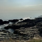 Marginal Way, Maine - 1,832 Reviews, Map | AllTrails