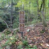 Stephens Gap Cave Trail, Alabama - 405 Reviews, Map | AllTrails