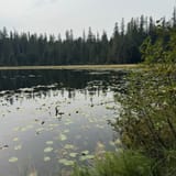Fish Lake, Montana - 599 Reviews, Map | AllTrails