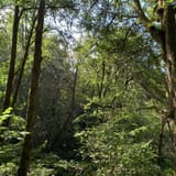 Seahurst Park Loop Trail, Washington - 897 Reviews, Map | AllTrails