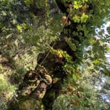 Seahurst Park Loop Trail, Washington - 897 Reviews, Map | AllTrails