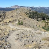 Mount Judah Loop Trail, California - 2,710 Reviews, Map | AllTrails