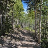 Wheeler Peak Summit Trail [CLOSED], Nevada - 1,051 Reviews, Map | AllTrails