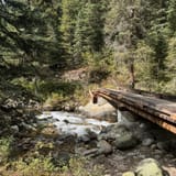 Hell Roaring Creek Trail, Montana - 499 Reviews, Map | AllTrails