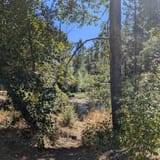 Bizz Johnson Trail, California - 185 Reviews, Map | AllTrails