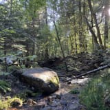 See Spring Trail, Arizona - 967 Reviews, Map | AllTrails