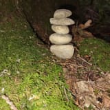 Nolte State Park Deep Lake, Washington - 609 Reviews, Map | AllTrails