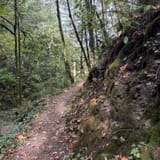 4T Trail, Oregon - 260 Reviews, Map | AllTrails