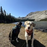 Mitchell Lake Trail, Colorado - 629 Reviews, Map | AllTrails