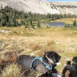 Mitchell Lake Trail, Colorado - 629 Reviews, Map | AllTrails