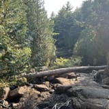 Lower Hadlock Pond Loop Trail, Maine - 618 Reviews, Map | AllTrails