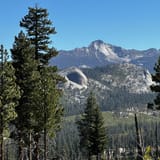 Mono Meadow Trail, California - 93 Reviews, Map | AllTrails