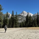 Mono Meadow Trail, California - 93 Reviews, Map | AllTrails