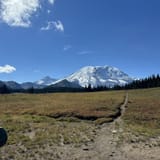 Berkeley Park Trail, Washington - 395 Reviews, Map | AllTrails