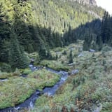 Berkeley Park Trail, Washington - 395 Reviews, Map | AllTrails