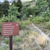 Swiftcurrent Nature Trail, Montana - 1,031 Reviews, Map | AllTrails