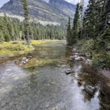 Swiftcurrent Nature Trail, Montana - 1,031 Reviews, Map | AllTrails