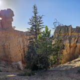 Fairyland Loop Trail, Utah - 9,104 Reviews, Map | AllTrails