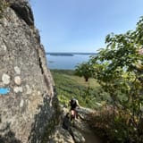 Precipice Loop, Maine - 4,637 Reviews, Map | AllTrails