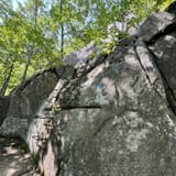Precipice Loop, Maine - 4,637 Reviews, Map | AllTrails