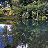 Wai Koa Loop Trail, Kaua'i, Hawaii - 1,752 Reviews, Map | AllTrails